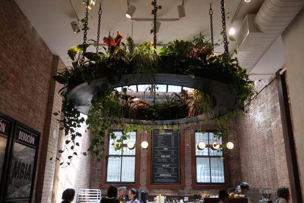 Devoción Coffee, Flatiron | plantwalldesign