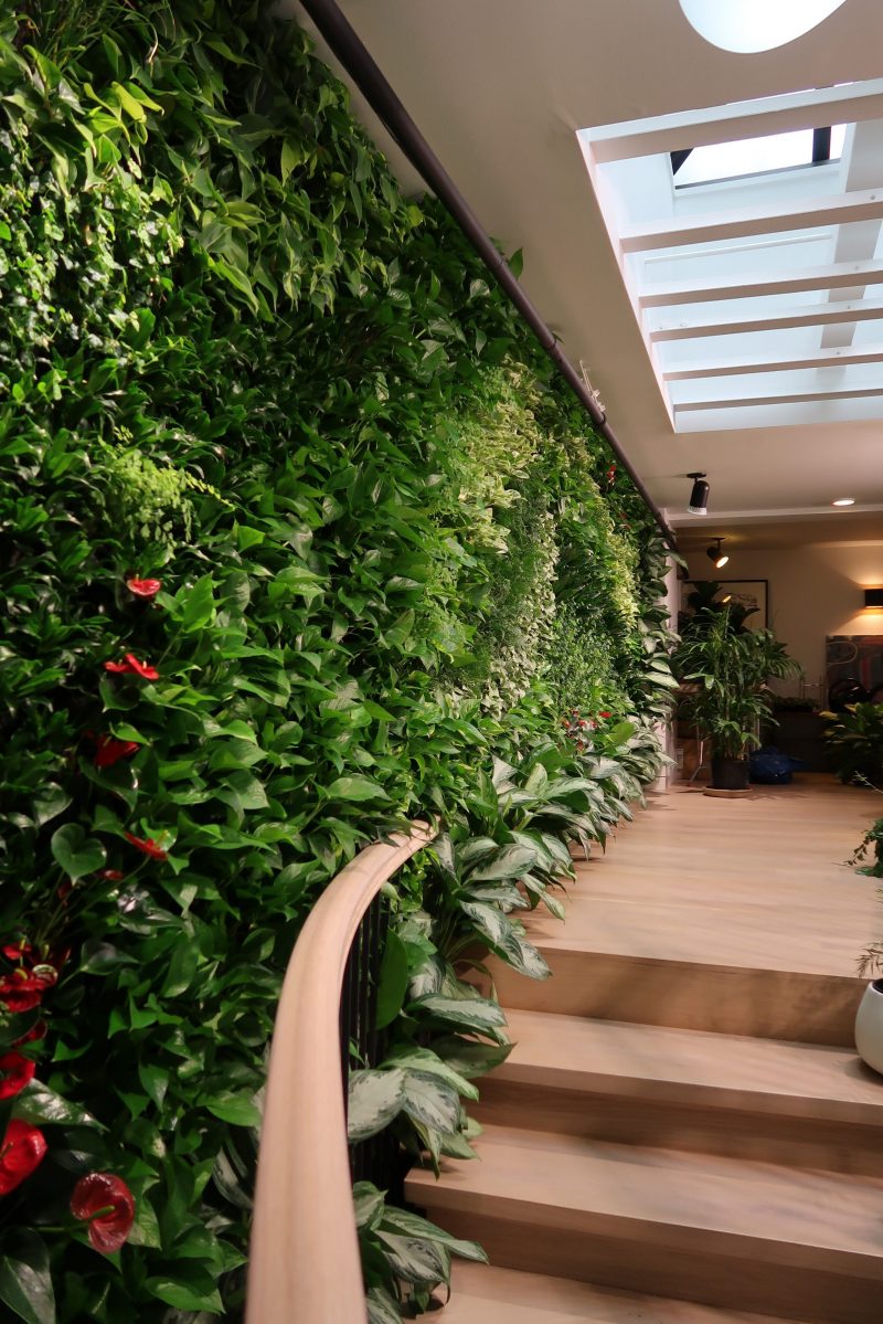 Plant Walls in Private Residences | plantwalldesign®